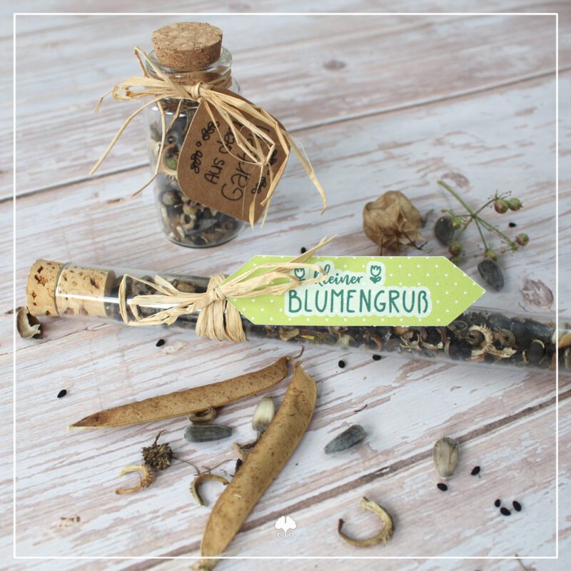 Basics "Anhänger" - Plotterdatei - GinkgoWerkstatt